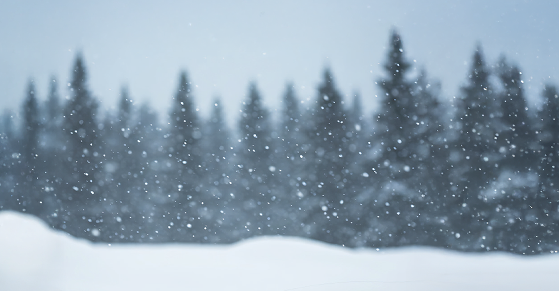 Extra Sale Selection Men | Superga